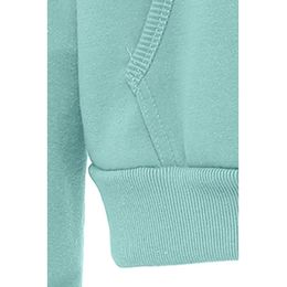 ALEKO Herren Kapuzenjacke in Eisminze | Gr.: XL