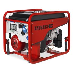 Endress Stromerzeuger ESE 606 DHG-GT-ES Duplex