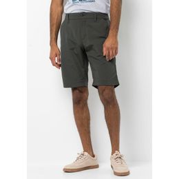 Jack Wolfskin Shorts »DESERT VALLEY SHORTS MEN« moosgrün 52 - Normalgrößen Normalgrößen 52 Shorts für Reisen und Alltag