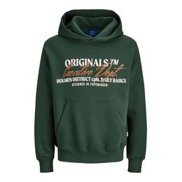 Jack & Jones Jack & Jones Sweatshirt Herren Gr&ouml;&szlig;e XXL karamell / dunkelgr&uuml;n / wei&szlig;