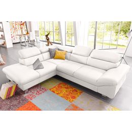 Ecksofa COTTA "Driver L-Form", wei&szlig; (altwei&szlig;), B:268cm H:73cm T:214cm, Kunstleder SOFTLUX;LEDER BEEFY (ein abgedecktes Spalt-Rindsleder) im Sitz und R&uuml;cken (Korpus in Kunstleder);Luxus-Kunstleder;NaturLEDER (echtes Rindsleder) im Sitz und R&uuml;cken (R&uuml;ckseite mit Spannstoff bezogen), Sofas, Ecksofa, mit Kopfteilverstellung, wahlweise mit Bettfunktion & Bettkasten, Topseller