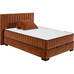 Boxbett ED EXCITING DESIGN "Nagol", braun (cognac), B:165cm L:214cm, 100% Polyester, Komplettbetten, mit Bettkasten, mit Wendematratze, erhältlich in verschiedenen Breiten