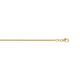 Goldkette ONE ELEMENT "Halskette Rundankerkette aus 333 Gelbgold Ø 2 mm" Gr. 42, gold, Halsketten, Damen, 42, Gelbgold 333 Gold, Gelbgold 333, Gold, Damen Gold Schmuck Rundankerkette