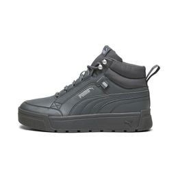 Puma Sneakers 'Tarrenz SB III' male Grey size 35,5