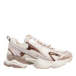 Steve Madden Low-Top Sneaker - Speedster-E - Gr. 40 (EU) - in Ros&eacute;gold - f&uuml;r Damen