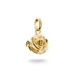 Thomas Sabo Charm-Einhänger »Charm Rose - Connect« gelbgoldfarben Charm Rosenblüte – Connect
