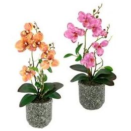 Kunstpflanze I.GE.A. "Orchidee", bunt (rosa, orange), B:18cm H:38cm L:38cm, Kunstpflanzen, Kunstpflanze, Mit Bl&auml;ttern und Luftwurzeln, im Topf aus Keramik, 2er Set
