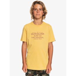 Quiksilver T-Shirt »Feeding Line« Rattan 12(148-156cm) 12(148-156cm) Ärmel: kurzärmlig