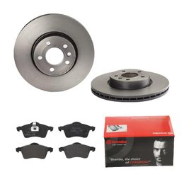Brembo Bremsensatz, Scheibenbremse 1420-55657 vorne rechts links innenbel&uuml;ftet 313mm f&uuml;r SKODA VW SEAT AUDI FORD 1108038 7D0698151E 7D0698151