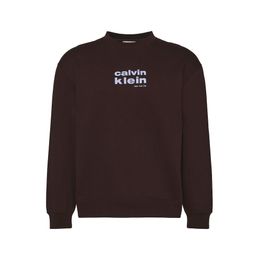 Calvin Klein Sweatshirt male Brown size S