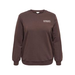 Only Carmakoma Sweatshirt 'CARSONNY' female Brown size 52