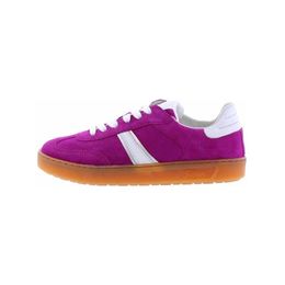 Sioux Lowtop-Sneaker Tedroso in macis/snow | Gr.: 39