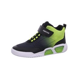 Geox Sneaker high J Illuminus in Mehrfarbig | Gr.: 35