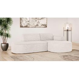 Ecksofa OTTO HOME "ADELLA XL Design-Sofa mit Recamiere rechts/links, 263/159/76 cm", beige (creme), B:263cm H:76cm T:159cm, 100% Polyester, Sofas, Ecksofa, L-Form XL mit Wellenunterfederung, runde Form, auch in Cord