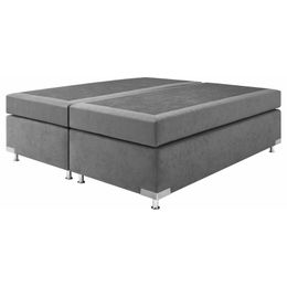 Boxspringbett "Holland", grau, B:182cm L:201cm, Microvelours (100% Polyester), Westfalia Schlafkomfort, Komplettbetten, Boxspringbett, ohne Kopfteil, frei im Raum stellbar
