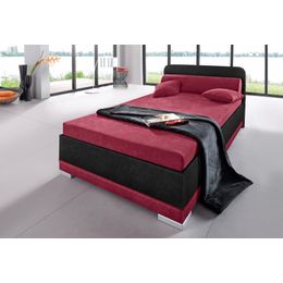Polsterbett Maintal "wahlweise mit Matratze und praktischen Bettkasten", rot (bordeauxrot, schwarz), B:147cm H:76cm L:211cm, Bezug Bett: 100% Polyester;Bezug Matratze: 100% Polyester, Betten, Bett Polsterbett, in verschiedenen Größen und Farben erhältlich, Topseller