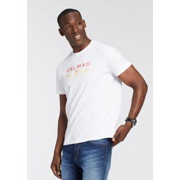 T-Shirt DELMAO, Herren, Gr. L (52/54), weiß, Single Jersey, Obermaterial: 100% Baumwolle, bedruckt, normal, Rundhals, Shirts, Kurzarm, bedruckt, Rundhals, aus 100% Baumwolle