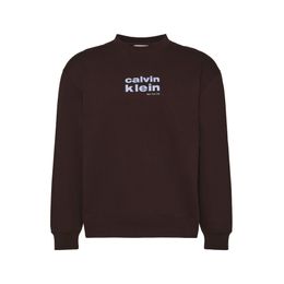 Calvin Klein Sweatshirt Herren Gr&ouml;&szlig;e M pastellblau / braun