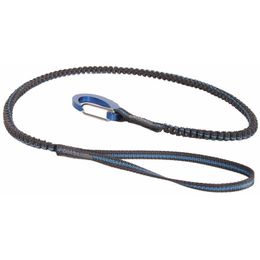 Blue Ice Solo Leash - Leash