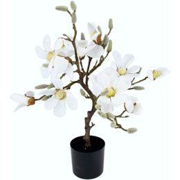 Kunstbaum I.GE.A. "Magnolienbaum", weiß, B:50cm H:58cm, Obermaterial: 90% Kunststoff, 10% Polyester, Kunstpflanzen, im Kunststofftopf