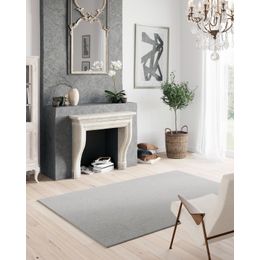 Teppich "MELLOW, Made in Belgium", grau (hellgrau), B:200cm H:19mm L:290cm, Polyester, PRIMAFLOR-IDEEN IN TEXTIL, Teppiche, Teppich, Uni Farben, weicher Flor, waschbar