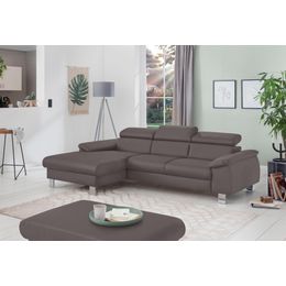Ecksofa COTTA "Komaris L-Form, B: 244 cm", grau (elefant), B:244cm H:72cm T:166cm, Microfaser PRIMABELLE (100% Polyester);Kunstleder SOFTLUX(100%Polyurethan);Feinstruktur (100% Polyester);Kunstleder SOFTLUX/Struktur (100%Polyurethan, 90%Polyester, 10% Polyacryl), Sofas, Ecksofa, mit Kopfteilverstellung, optional Bettfunktion, Bettkasten & Licht, Topseller