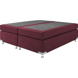 Boxspringbett "Holland", rot (bordeaux, rot), B:162cm L:201cm, Microvelours (100% Polyester), Westfalia Schlafkomfort, Komplettbetten, Boxspringbett, ohne Kopfteil, frei im Raum stellbar