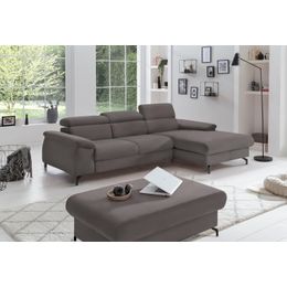 Ecksofa COTTA "Kitty L-Form, B: 242 cm", grau (elephant), B:244cm H:72cm T:166cm, Microfaser (100% Polyester);Flachgewebe (100% Polyester), Sofas, Ecksofa, mit Kopfteilverstellung, optional Bettfunktion & Bettkasten