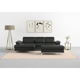 Sit & More Ecksofa SIT & MORE "Cabrio L-Form, B: 295 cm, mit Sitztiefen-, Arm- & Kopfteilverstellung", grau (anthrazit), B:295cm H:87cm T:180cm, Sofas, Ecksofa, 2 Nierenkissen, Federkern, optional Bettfunktion und Stauraum, Topseller