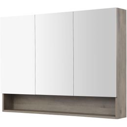 Spiegelschrank Welltime "Florenz", grau, B:100cm H:75cm T:16,2cm, MDF, Schränke, 2 Türen