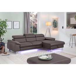 Ecksofa COTTA "Komaris L-Form, B: 244 cm", grau (elefant), B:244cm H:72cm T:166cm, Microfaser PRIMABELLE (100% Polyester);Kunstleder SOFTLUX(100%Polyurethan);Feinstruktur (100% Polyester);Kunstleder SOFTLUX/Struktur (100%Polyurethan, 90%Polyester, 10% Polyacryl), Sofas, Ecksofa, mit Kopfteilverstellung, optional Bettfunktion, Bettkasten & Licht, Topseller