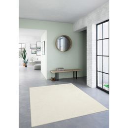 Teppich "MELLOW, Made in Belgium", wei&szlig; (wollwei&szlig;), B:200cm H:19mm L:290cm, Polyester, PRIMAFLOR-IDEEN IN TEXTIL, Teppiche, Teppich, Uni Farben, weicher Flor, waschbar