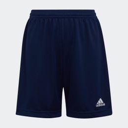 Trainingsshorts adidas Performance "ENT22 SHO Y", Jungen, Gr. 152, N-Gr, blau (team navy blau 2), Obermaterial: 100% Polyester, Hosen