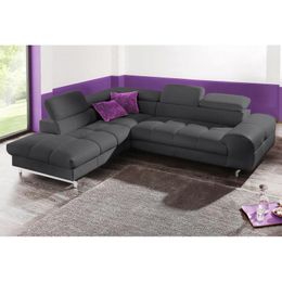COTTA Ecksofa &raquo;Chef L-Form&laquo; mit Kopfteilverstellung, edle Metallkufen, wahlweise mit Bettfunktion schwarz Luxus-Microfaser (100% Polyester);Kunstleder