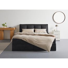 LeGer Home by Lena Gercke Boxspringbett »Addyson« Härtegrade H2, H3 und H4 wählbar, Boxspringbett inkl. Topper, 2 Matratzen Anthracite