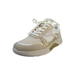 Gabor Sneaker Damen Größe 39 creme / dunkelbeige / gold / weiß