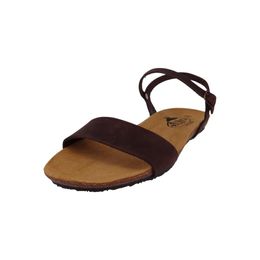 Plakton Sandals female Brown size 36