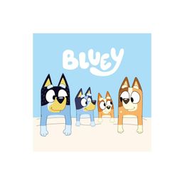 Bluey Handtuch 30x30cm – Weiches Gesichtstuch für Kids | Gr.: onesize