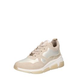 Buffalo Sneaker 'Batter soft' Damen Gr&ouml;&szlig;e 40 taupe / perlwei&szlig;