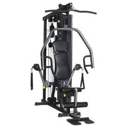 Horizon Fitness Torus 3 Kraftstation