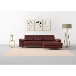 Sit & More Ecksofa SIT & MORE "Cabrio L-Form, B: 295 cm, mit Sitztiefen-, Arm- & Kopfteilverstellung", rot (merlot), B:295cm H:87cm T:180cm, Sofas, Ecksofa, 2 Nierenkissen, Federkern, optional Bettfunktion und Stauraum, Topseller
