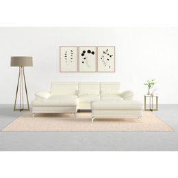 Sit & More Ecksofa SIT & MORE "Cabrio L-Form, B: 295 cm, mit Sitztiefen-, Arm- & Kopfteilverstellung", wei&szlig; (altwei&szlig;), B:295cm H:87cm T:180cm, Sofas, Ecksofa, 2 Nierenkissen, Federkern, optional Bettfunktion und Stauraum