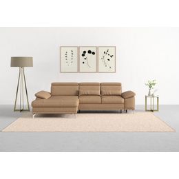 Sit & More Ecksofa SIT & MORE "Cabrio L-Form, B: 295 cm, mit Sitztiefen-, Arm- & Kopfteilverstellung", braun (cappucino), B:295cm H:87cm T:180cm, Sofas, Ecksofa, 2 Nierenkissen, Federkern, optional Bettfunktion und Stauraum