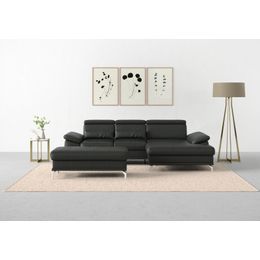 Sit & More Ecksofa SIT & MORE "Cabrio L-Form, B: 295 cm, mit Sitztiefen-, Arm- & Kopfteilverstellung", grau (anthrazit), B:295cm H:87cm T:180cm, Sofas, Ecksofa, 2 Nierenkissen, Federkern, optional Bettfunktion und Stauraum, Topseller
