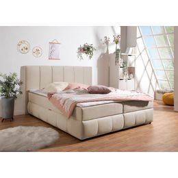 Boxbett Inosign "Hartley inkl. Bettkasten und Topper, auch in Überlänge erhältlich", beige, B:192cm L:210cm, Komplettbetten, wahlweise mit Bonnell- oder TTFK-Matratze in H2, H3 o. H4 erhältlich