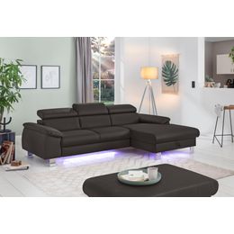 Ecksofa COTTA "Komaris L-Form, B: 244 cm", braun, B:244cm H:72cm T:166cm, Microfaser PRIMABELLE (100% Polyester);Kunstleder SOFTLUX(100%Polyurethan);Feinstruktur (100% Polyester);Kunstleder SOFTLUX/Struktur (100%Polyurethan, 90%Polyester, 10% Polyacryl), Sofas, Ecksofa, mit Kopfteilverstellung, optional Bettfunktion, Bettkasten & Licht, Topseller
