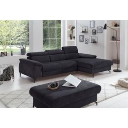 Ecksofa COTTA "Kitty L-Form, B: 242 cm", grau (lava), B:244cm H:72cm T:166cm, Microfaser (100% Polyester);Flachgewebe (100% Polyester), Sofas, Ecksofa, mit Kopfteilverstellung, optional Bettfunktion & Bettkasten