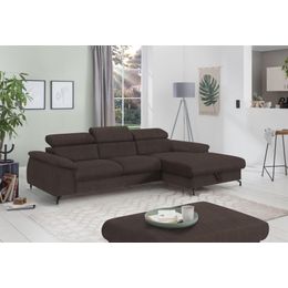 Ecksofa COTTA "Kitty L-Form, B: 242 cm", braun (espresso), B:244cm H:72cm T:166cm, Microfaser (100% Polyester);Flachgewebe (100% Polyester), Sofas, Ecksofa, mit Kopfteilverstellung, optional Bettfunktion & Bettkasten