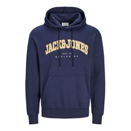 Jack & Jones Jack & Jones Sweatshirt 'JJECaleb' male Blue size S