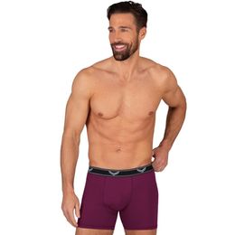 Boxer TRIGEMA "TRIGEMA Bequeme Pants mit Webgummibund", Herren, Gr. XXL, rot (sangria), 95% Baumwolle, 5% Elasthan, Unterhosen